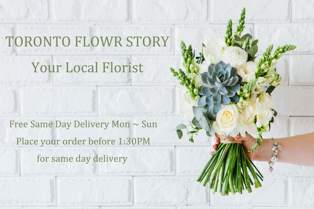 PLACE YOUR ORDER ONLINE OR BY PHONE FOR OUR SAME DAY FREE DELIVERY SERVICE